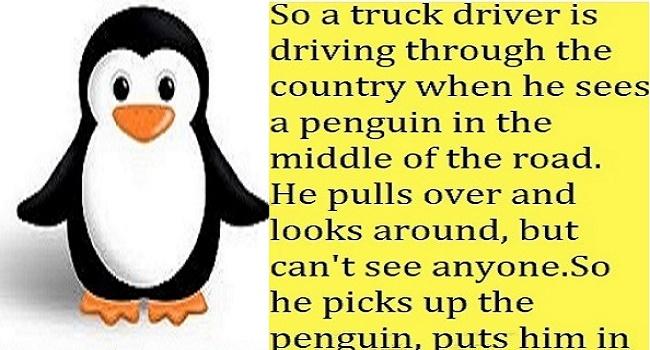 Penguin & Truck Driver - Joke | Funny