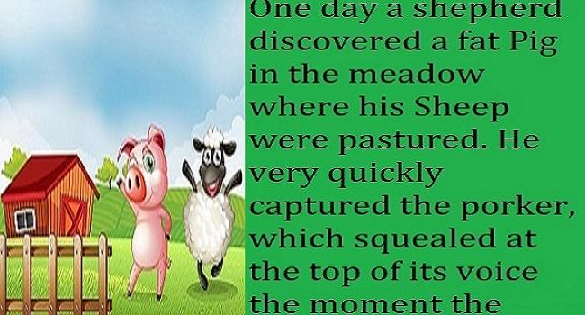 The Pig & The Sheep - Story