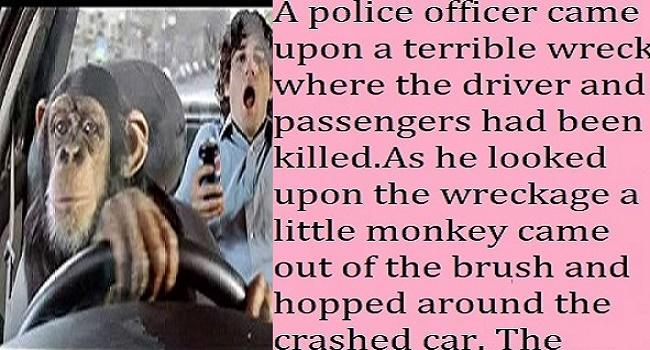 The Traffic Accident - Joke | Funny