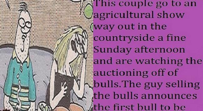 Bull Auction - Joke | Funny