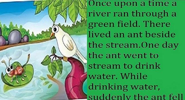 Dove & The Ant - Story