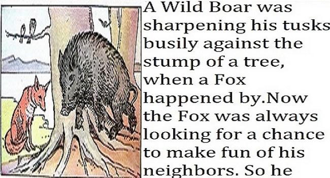 The Fox & The Wild Boar - Story