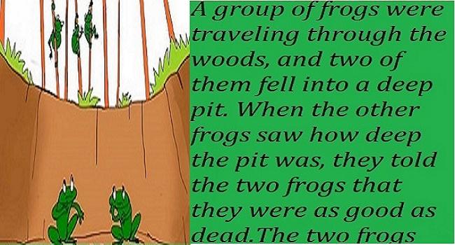 Two Frogs - Story