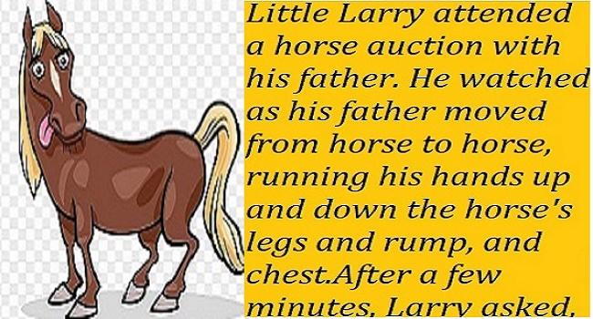 A Horse Auction - Joke | Funny