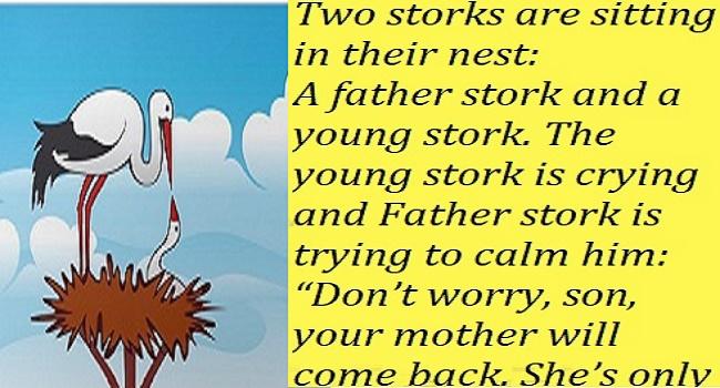 Stork Family - Joke | Funny