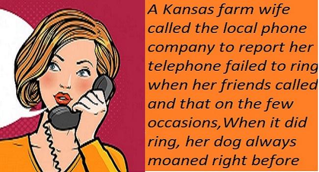 Phone Fault - Joke | Funny